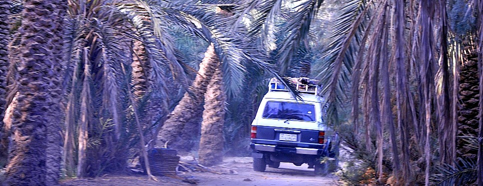 International Hot Spring Hotel