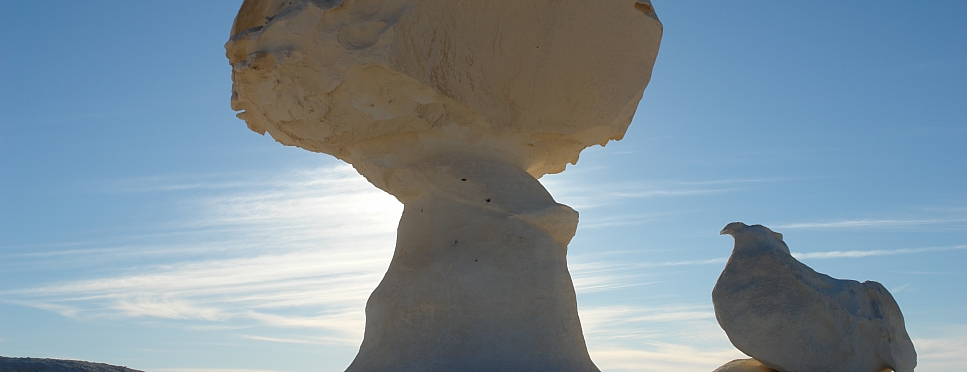 International Hot Spring Hotel