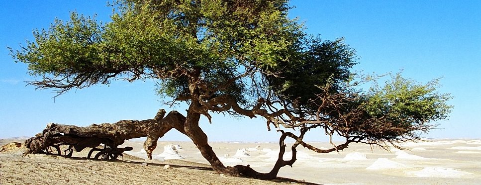 International Hot Spring Hotel